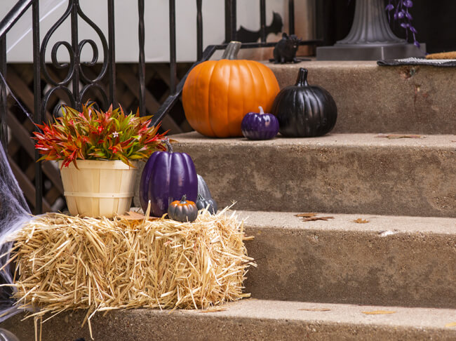 Painted Pumpkins | Rust-Oleum