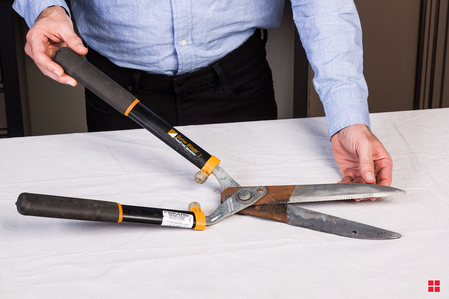 Dissolve Rust On Hedge Shears