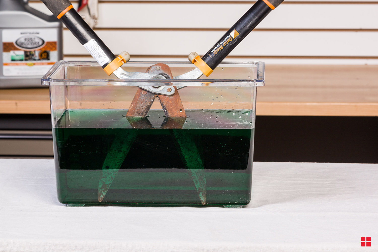 Dissolve Rust On Hedge Shears