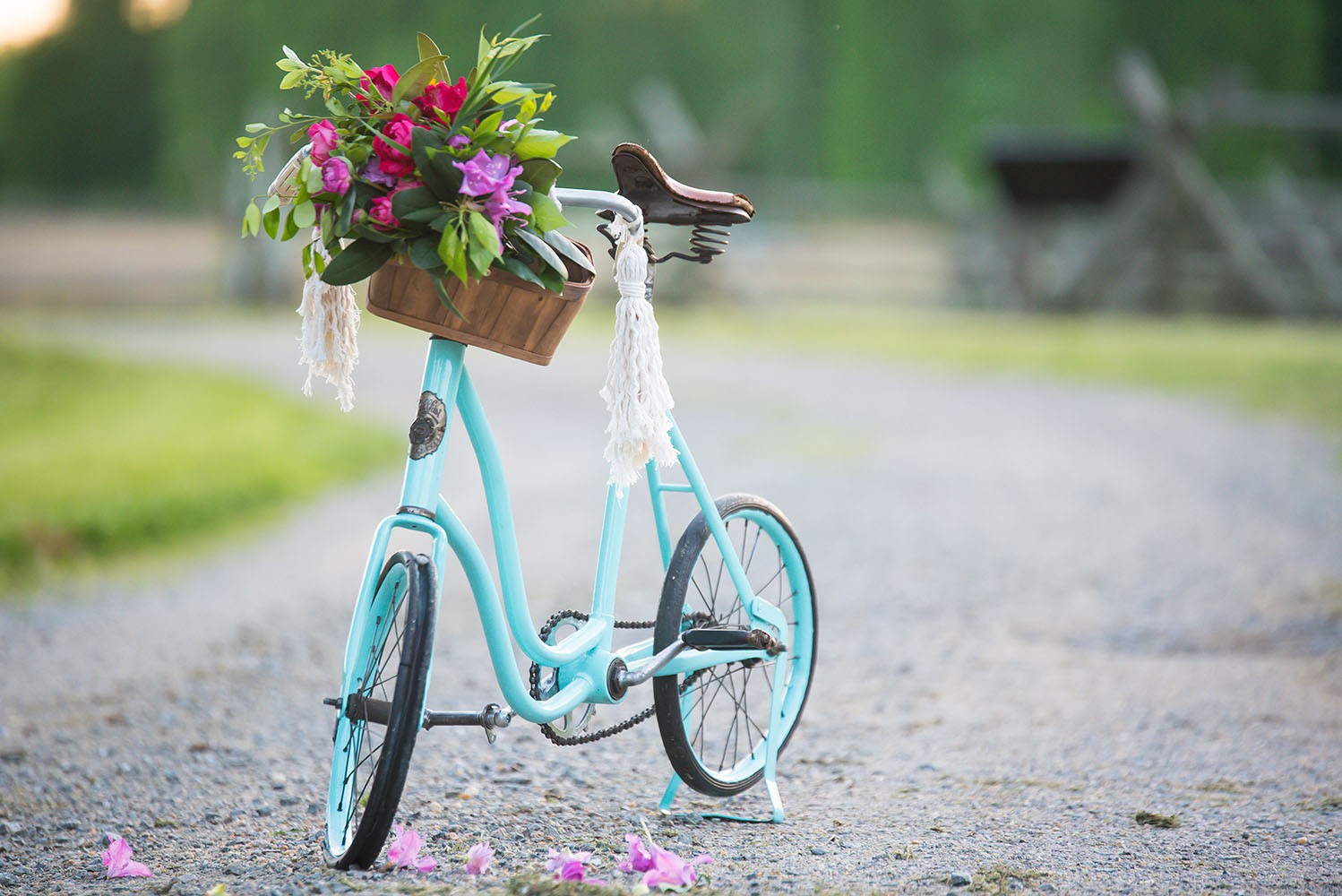 An Old Bike Becomes a Stunner With Stops Rust