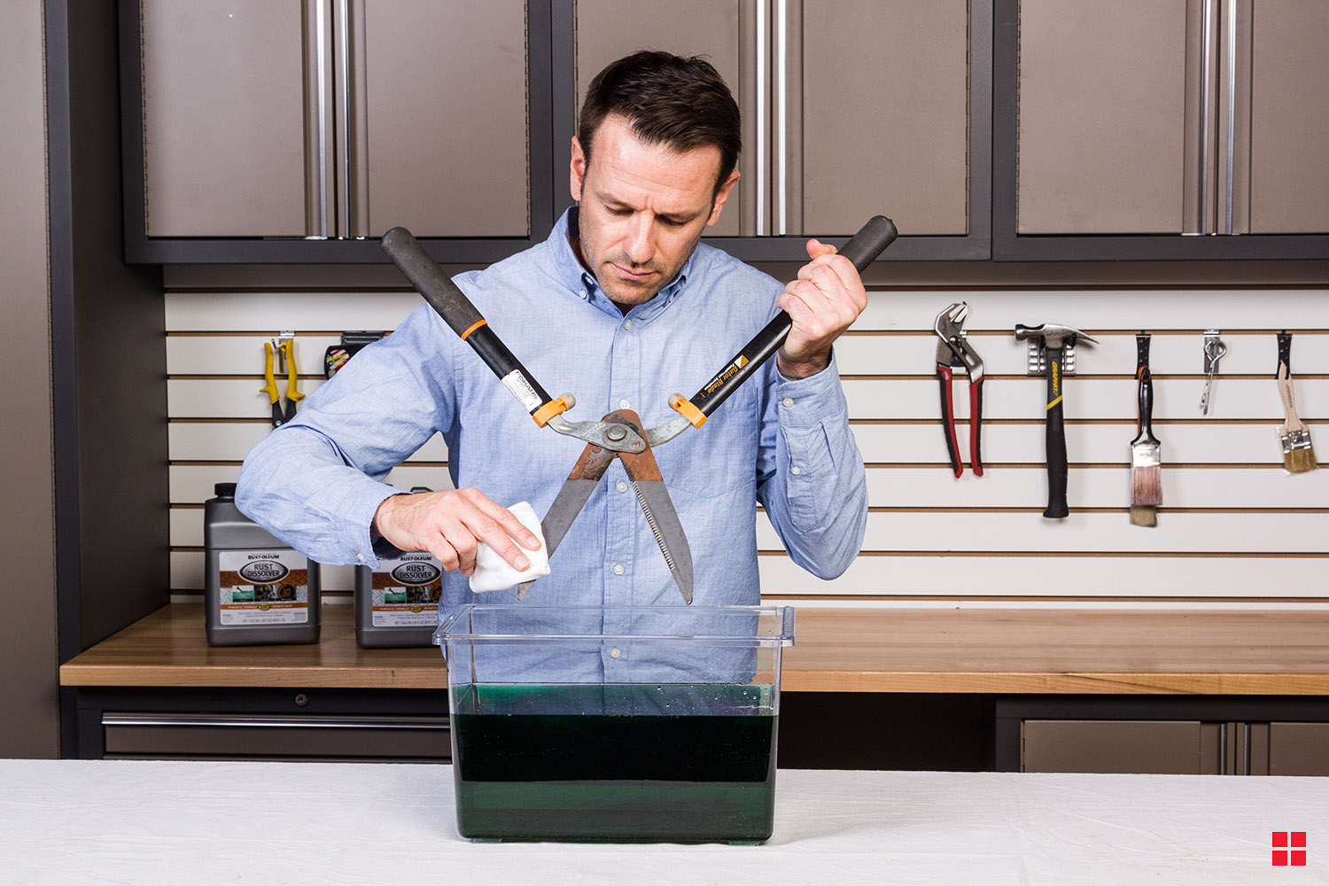 Dissolve Rust On Hedge Shears